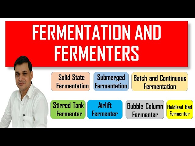 Understanding Types Of Fermentation And Their Applications Galaxy Ai