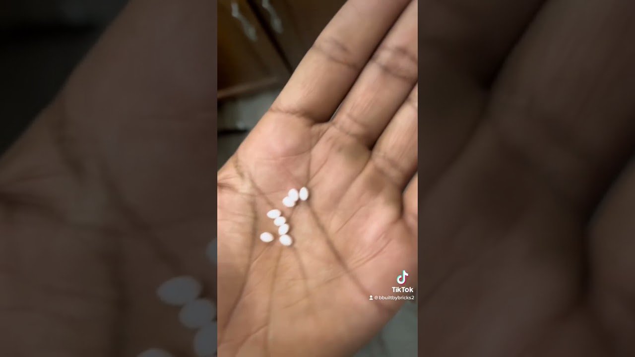 Watch me apply my vampire teeth