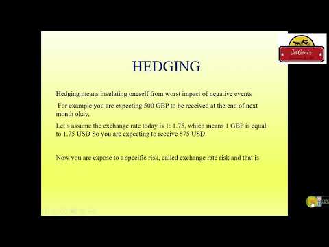 What is hedging, definition and example