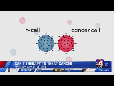 Treatment at Huntsman Cancer Institute uses patient's own immune system to fight blood cancer