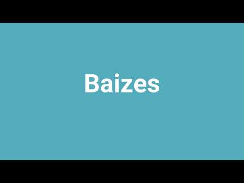 'Baizes' Meaning and Pronunciation