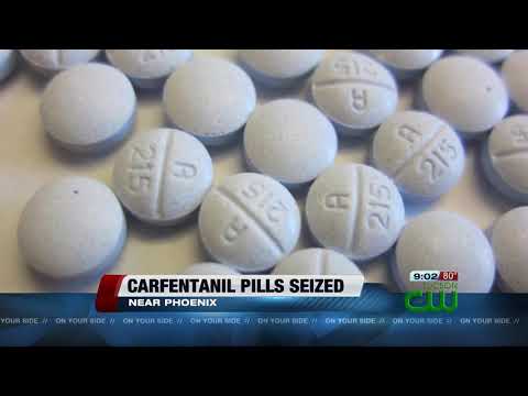Counterfeit pills with carfentanil seized in the Phoenix area