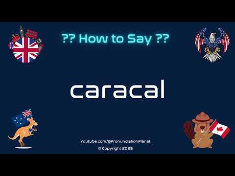 ๐พ ๐ How to Pronounce caracal? (CORRECTLY) | Pronunciation Planet