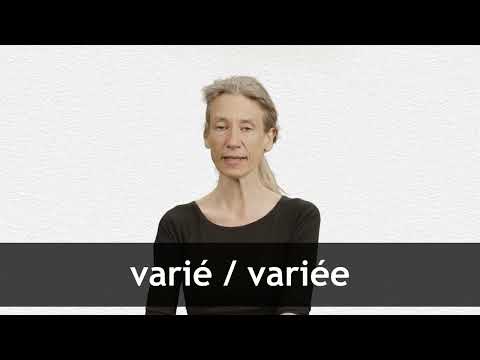 English Translation of “VARIÉ” | Collins French-English Dictionary