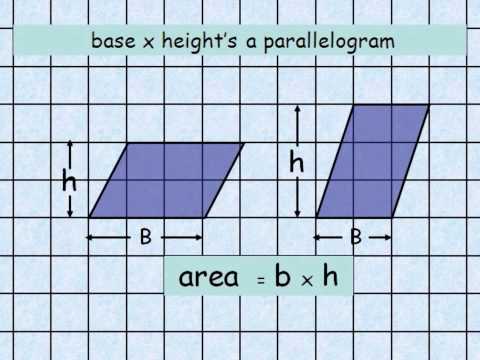 Area of 2D shapes – awesome Maths song | Kip McGrath Professional ...