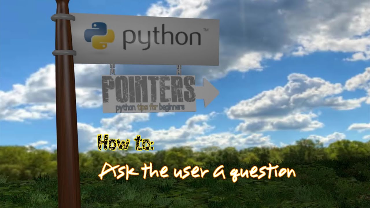 Python Pointers: how to ask the user a question