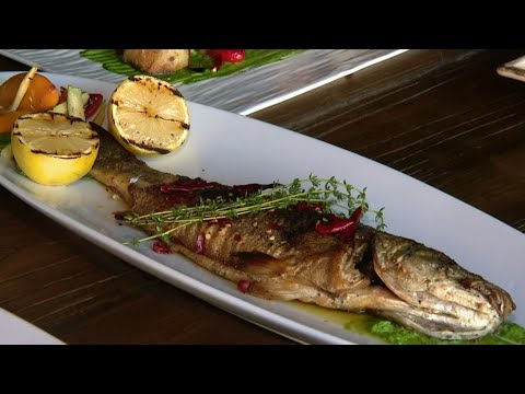 Tasty Tuesday: Modern Greek & Salad Bar