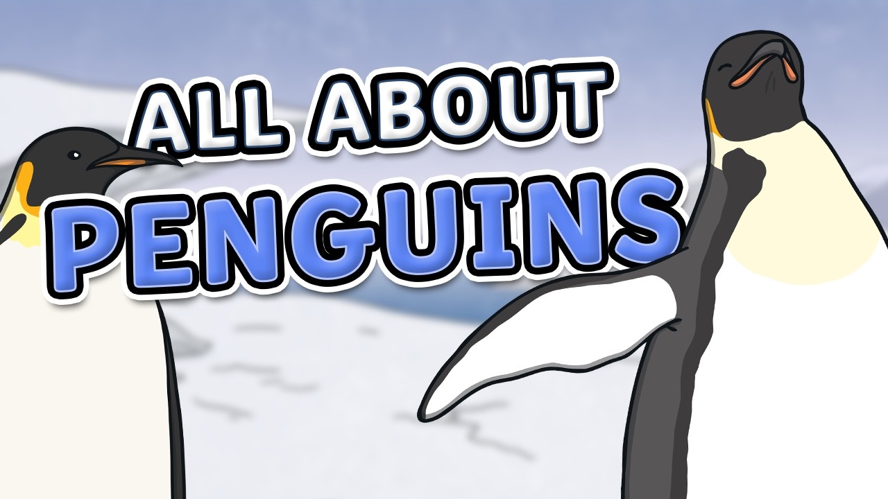 Where do Penguins Live? 🐧 Penguin Fact File for Kids!