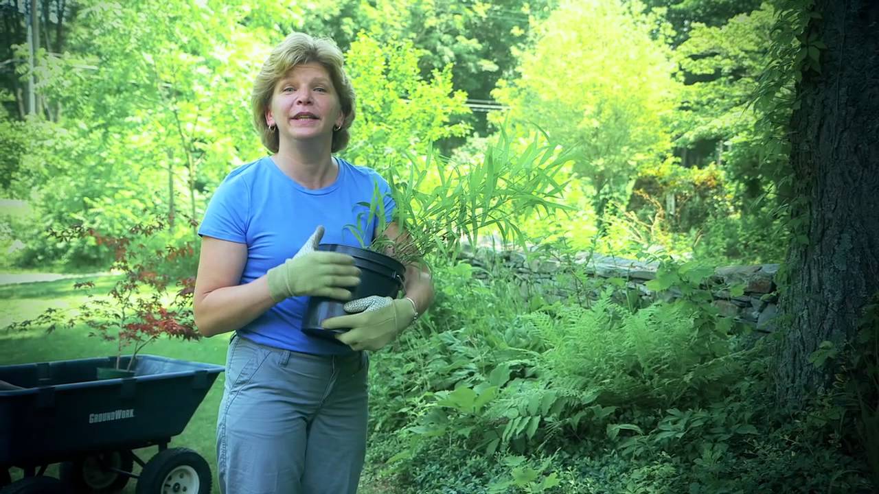 Windham Hospital Imaging TV Spot-Women's Health