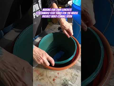 DIY concrete planters