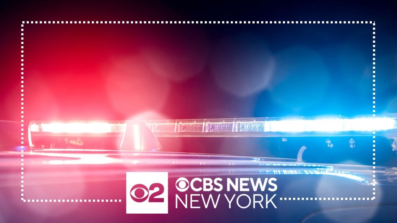 5-year-old twins found dead in Bronx apartment, NYPD says