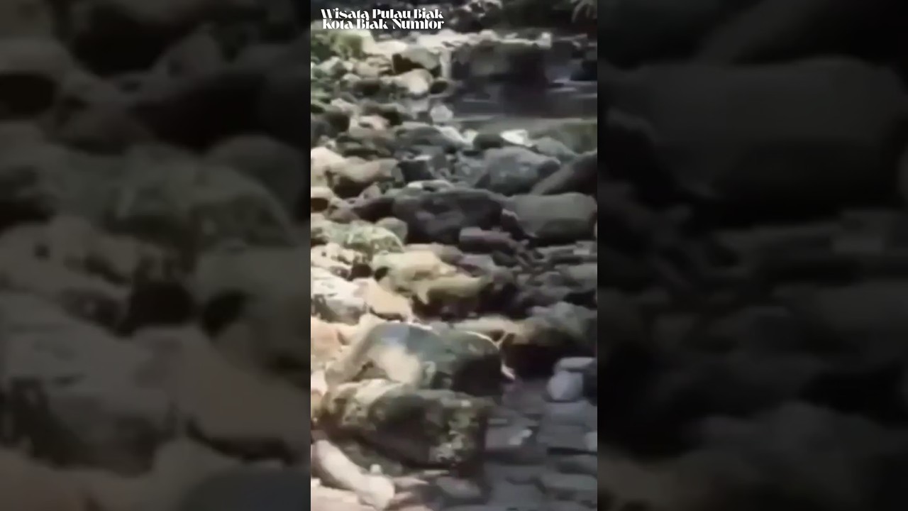 Biak Islands tourism in Biak Numfor city