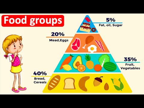 Science - The 5 Food Groups general…: English ESL video lessons