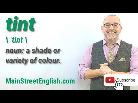 English Vocabulary Builder: TINT - Noun (Pronunciation & Usage)