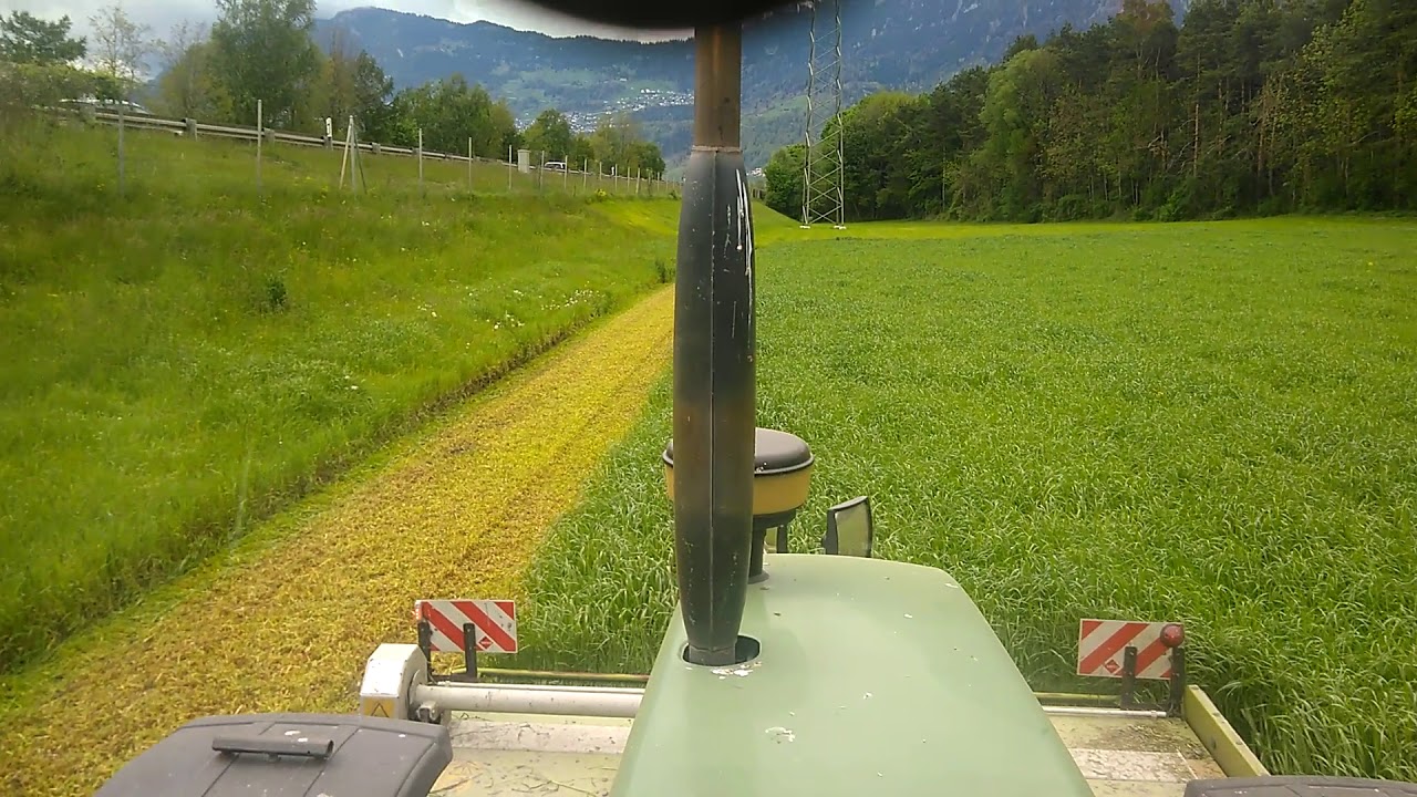 Eingrasen