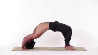 asana – posizioni | Categorie di video | Haṃsa Libera Scuola di Hatha Yoga