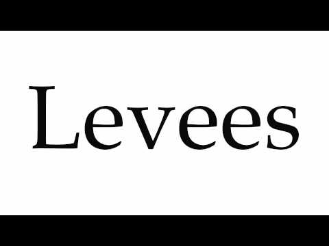 How to Pronounce Levees