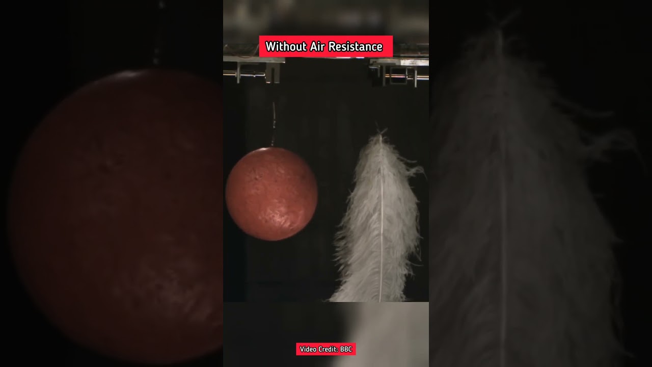 Objects with different masses fall at the same rate #physics