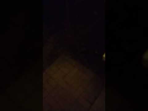 Weird whirring noise
