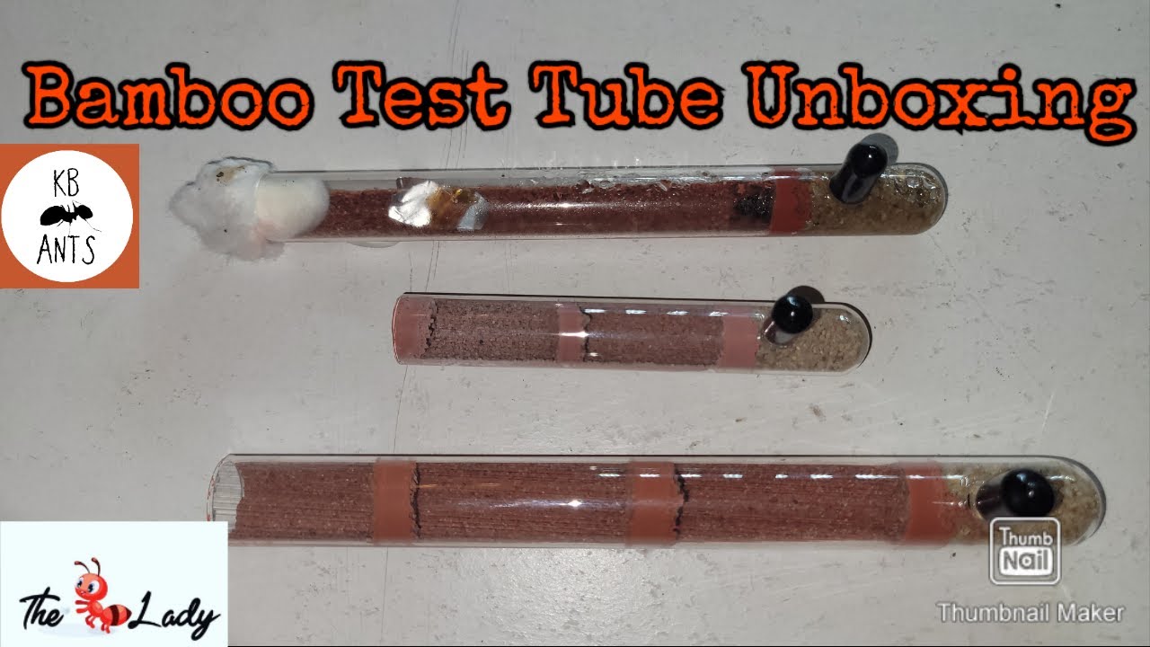 Bamboo Test Tube Review/Unboxing