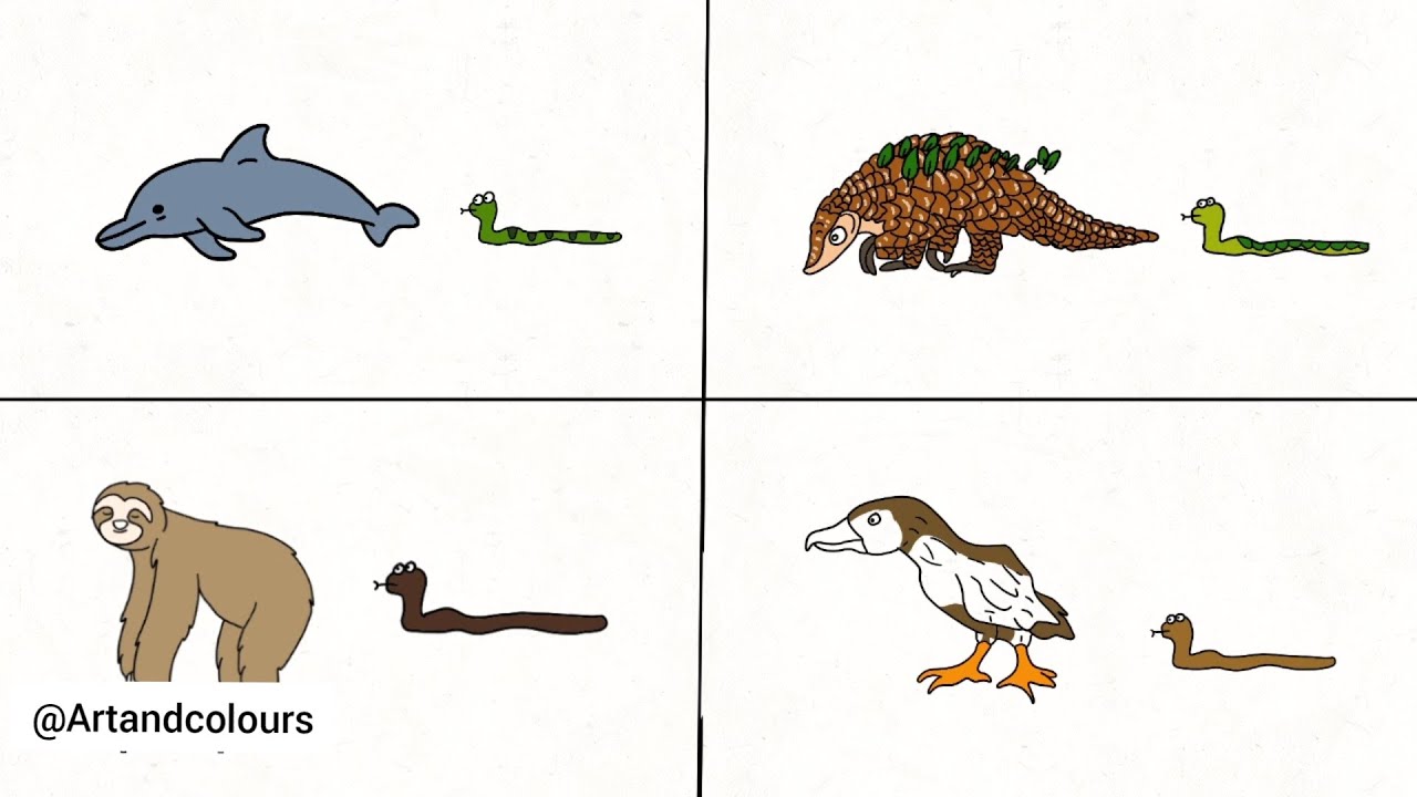 How dinosaurs were made? Spinosaurus dinosaur drawing pictures triceratops dilophosaurus #dinosour