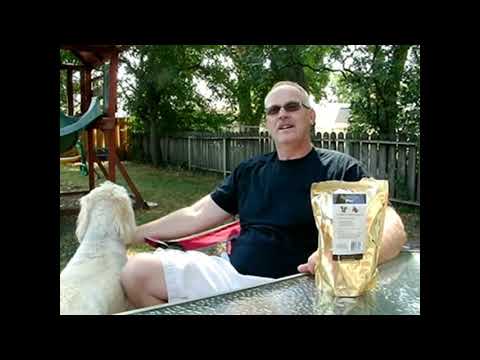Dog Vomiting with Bloody Diarrhea Saved By GastroElm Plus