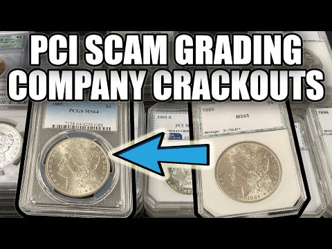 PCI Coin Grading WARNING: 16 "MS65+" Morgan Dollars EXPOSED
