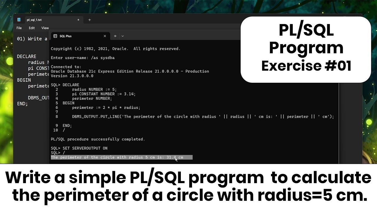 Oracle PL/SQL practice exercises #01 with solutions