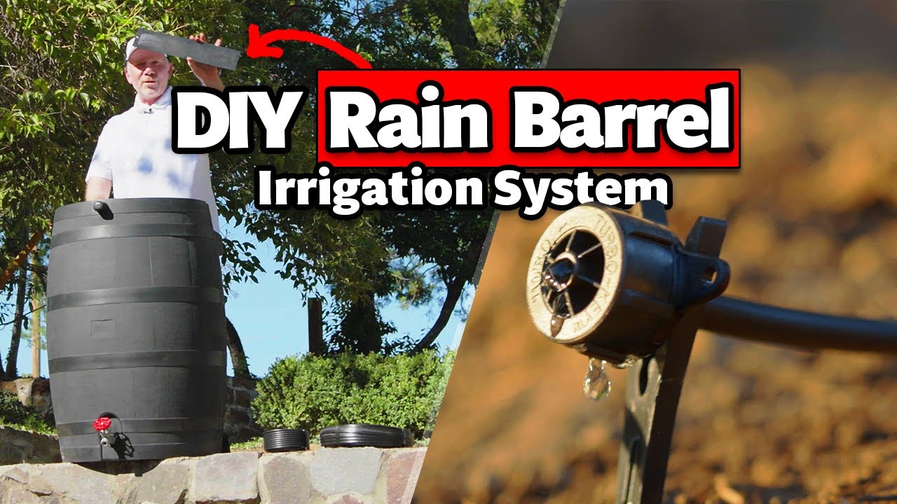 How to Install a Gravity Rain Barrel Drip Irrigation System (Beginner's Guide)