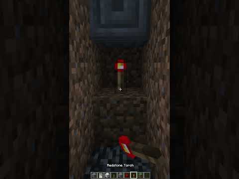 Minecraft Password Door????#shorts