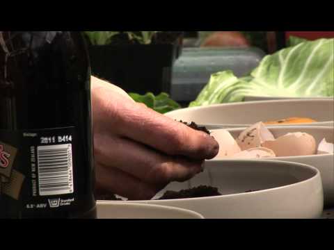 How to naturally manage slugs and snails