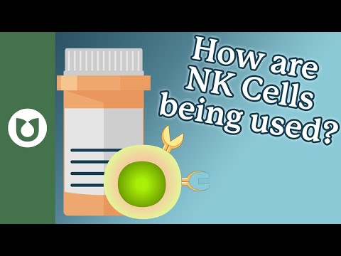 Are NK Cells being used Alone or in Combination with other Drugs?