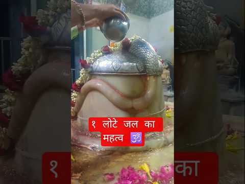 प्रदीप मिश्रा जी के उपाय#ॐ नमःशिवाय#🌿🧿