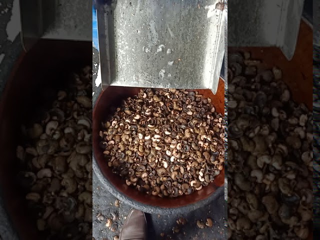 Automatic Cashew Shell Cutting Machine - Cashew Shelling Machine ...