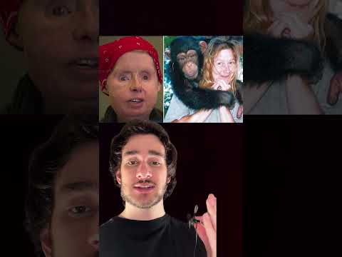 Travis the Chimp Attack (EXPLAINED)!😨#theory#story