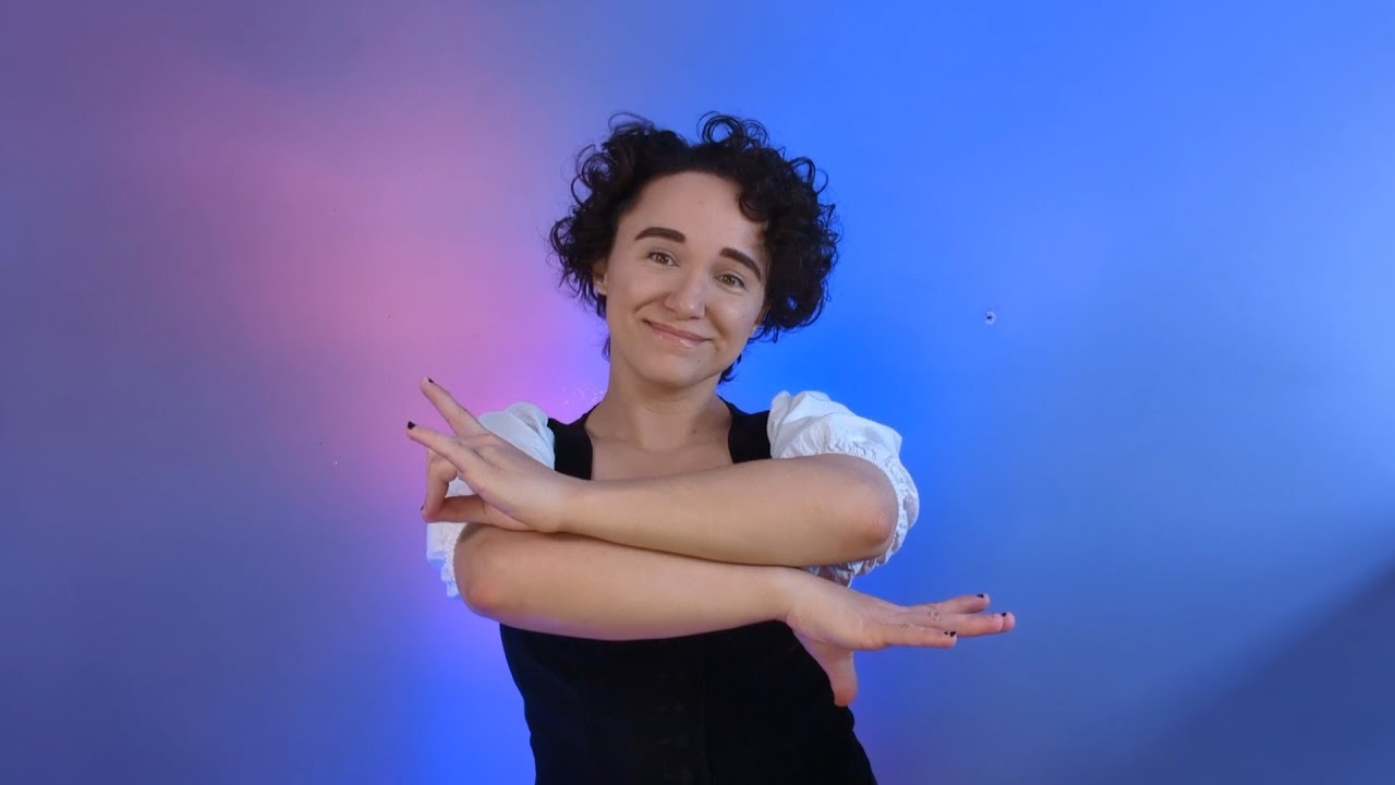 The Fight for ASL Interpretation: A Call to Action Against ...