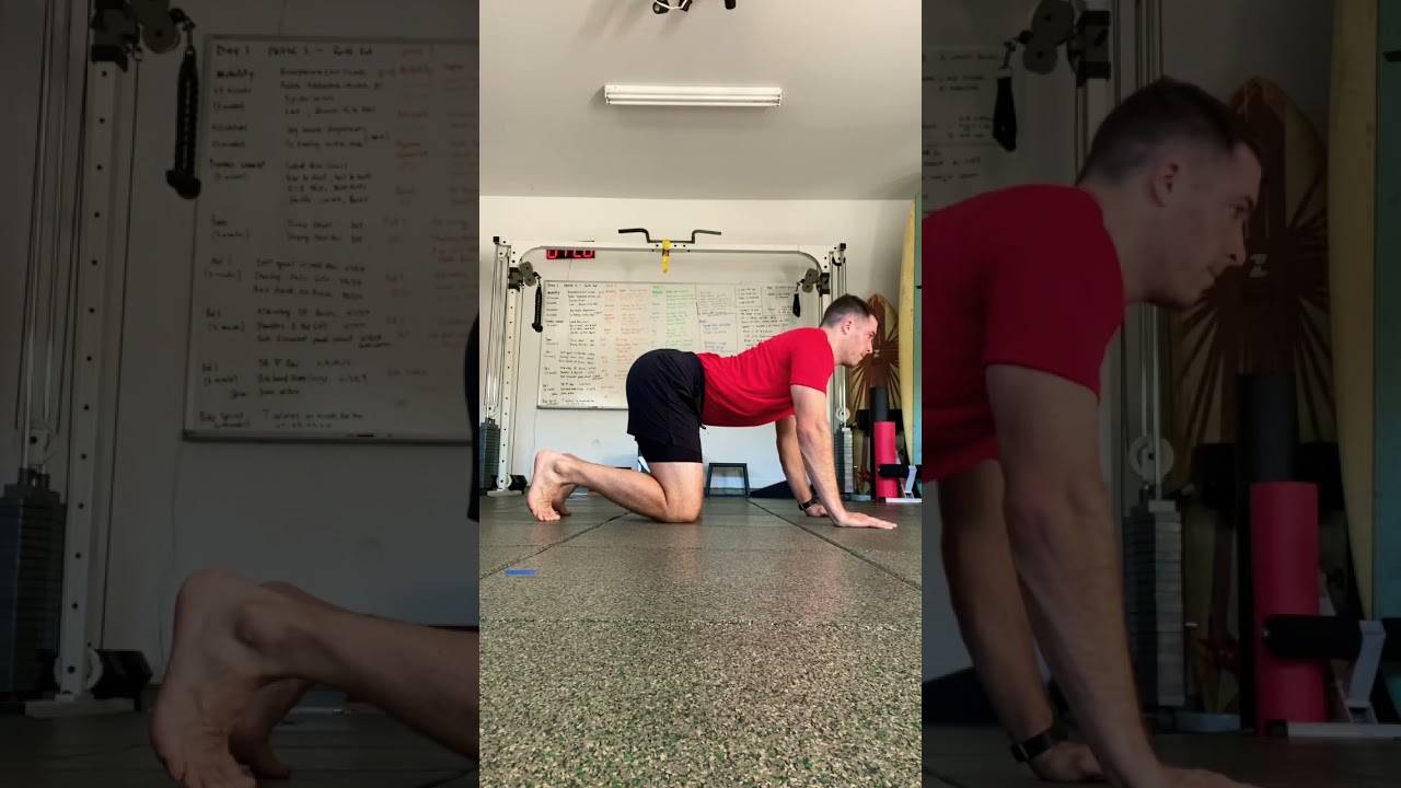 Spine flexion & extension in quadruped