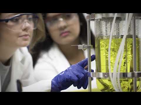 REDE Website Video