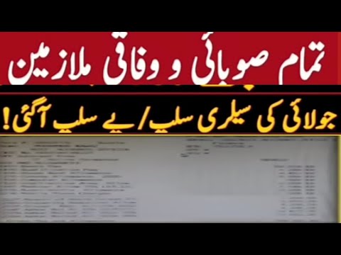 Payroll Processed & Payslip Issued| Ad-hoc Allowance 2024 | salary and Pension Increase