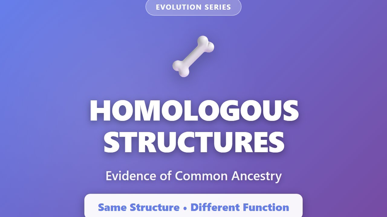 Homologous Structures: Evidence of Common Ancestry | Evolution Explained