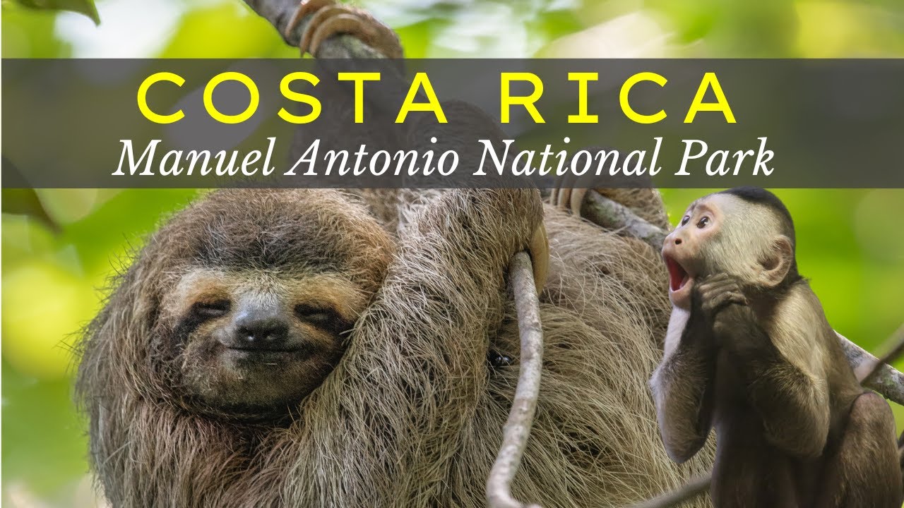 Everything you need to know BEFORE visiting Manuel Antonio National Park, Costa Rica