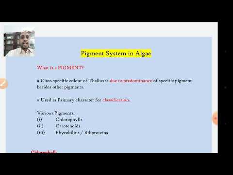 Pigment System in Algae (Part-2)