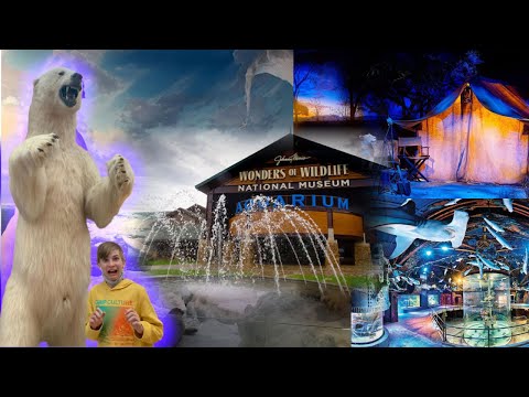 Wonders of Wildlife National Museum and Aquarium | Full Tour