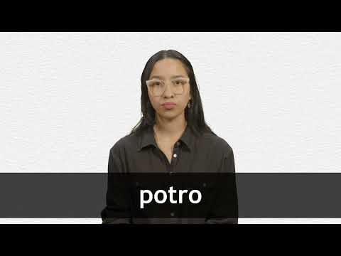 English Translation of “POTRO” | Collins Spanish-English Dictionary