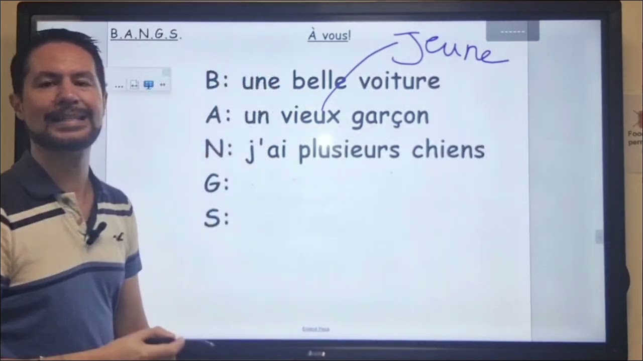 Place of the adjectives before the noun in french (BANGS' rule)