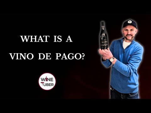 What is a Vino de Pago? Vino de Pago explained