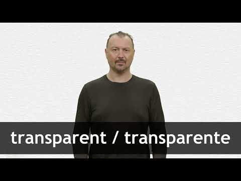 English Translation of “TRANSPARENT” | Collins French-English Dictionary