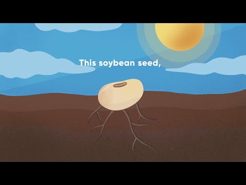 Smarter Soybean Seeds