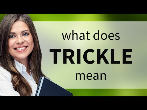 Trickle • TRICKLE definition