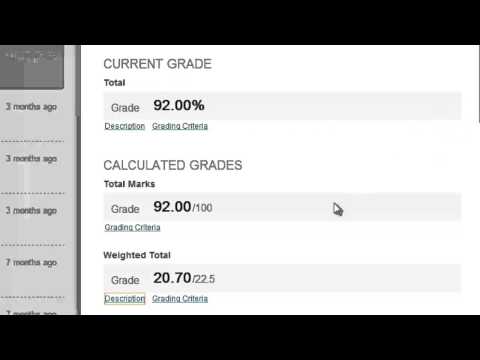 Checking Grades on BlackBoard